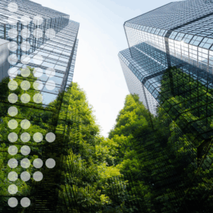 Challenges and Solutions for the EU Taxonomy’s Minimum Safeguards ...